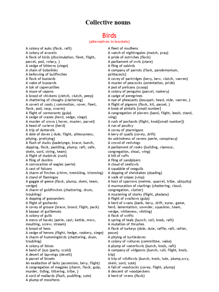 Collective Nouns, Rare and Funny | PDF | Zoology