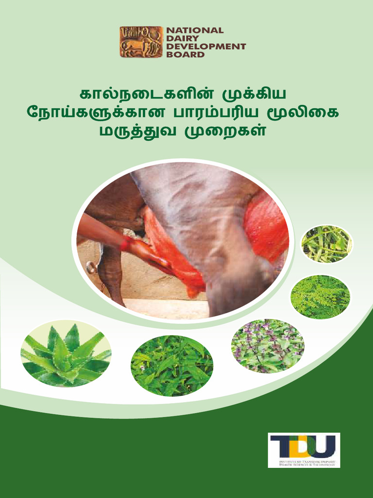 EVM Brochure Tamil | PDF
