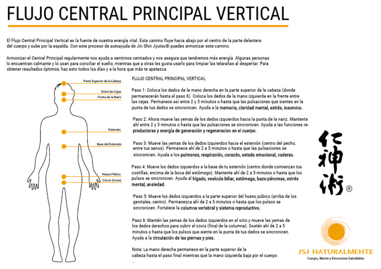 Flujo Central Principal Vertical | PDF
