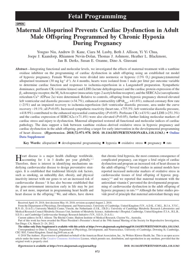 Hyp 72 971 | PDF | Acetylcholine | Heart