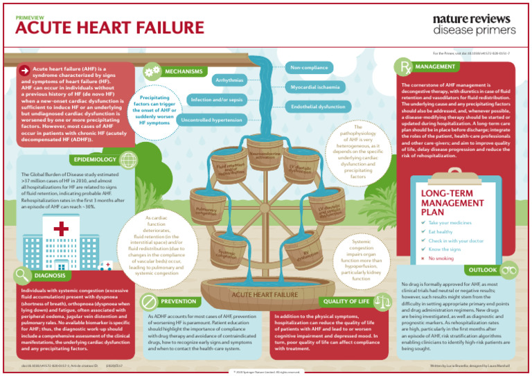 Acute Heart Failure: Long-Term Management Plan | PDF | Heart Failure ...