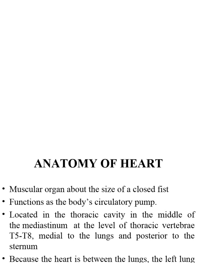 Anatomy of Heart | Download Free PDF | Heart Valve | Coronary Circulation