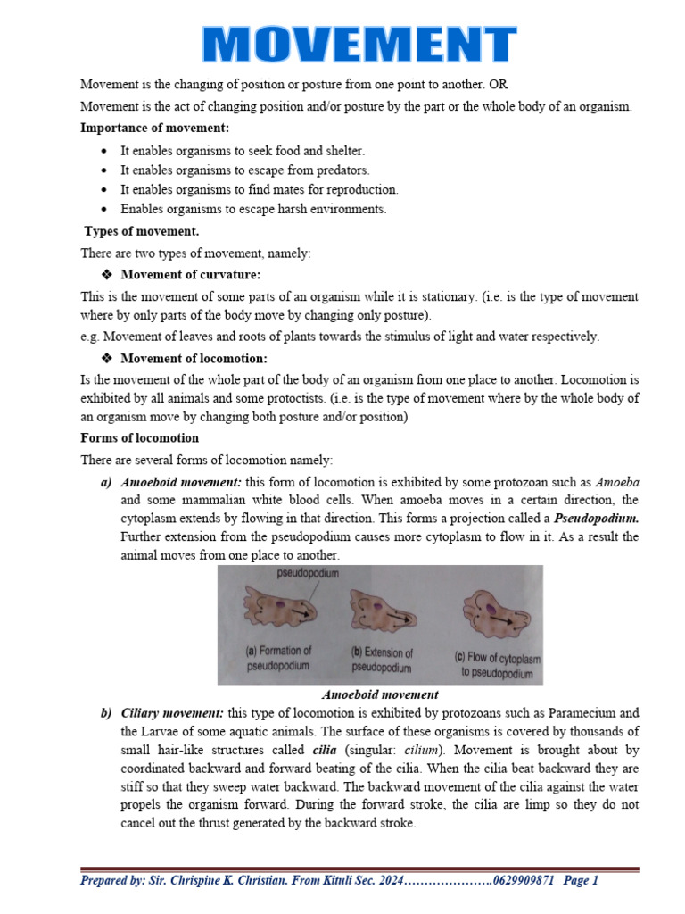 Movement 2024 | PDF | Vertebra | Skeleton