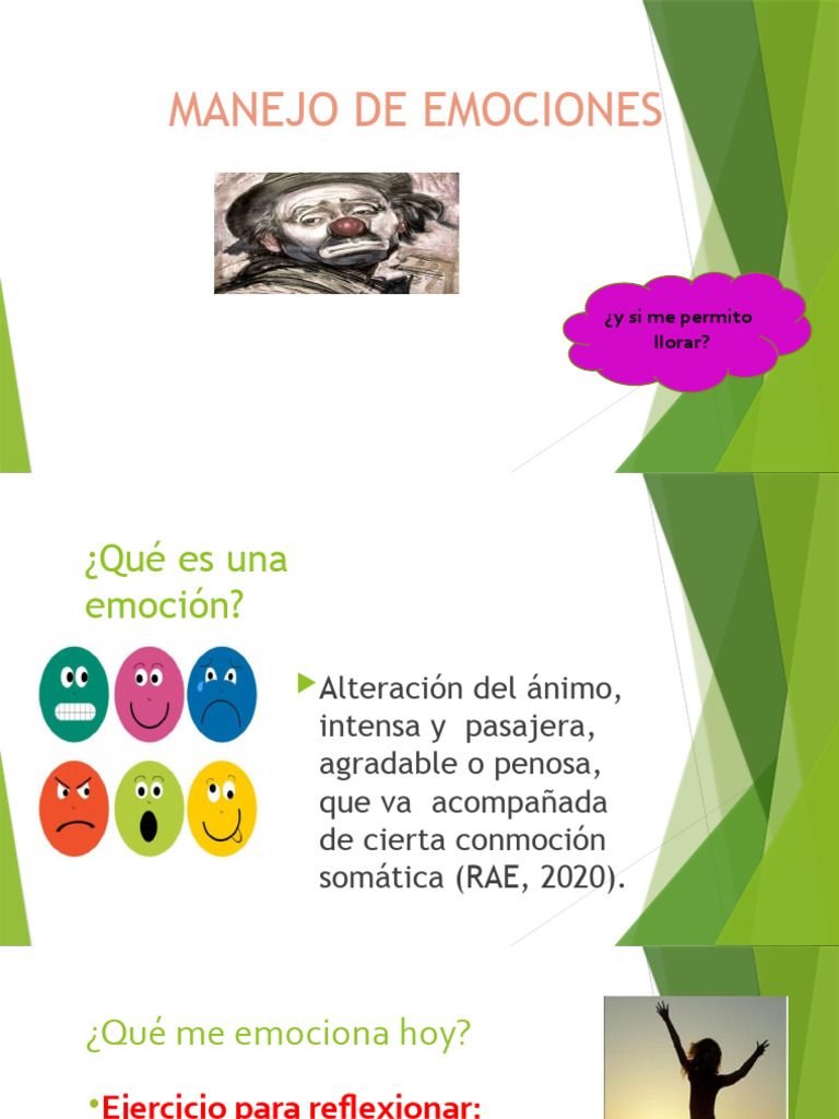 Manejo De Emociones Pdf Las Emociones Ira