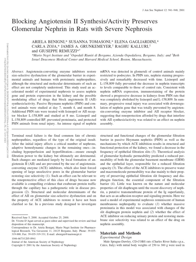 Blocking Angiotensin II Synthesis Activity.9 | PDF | Reverse ...