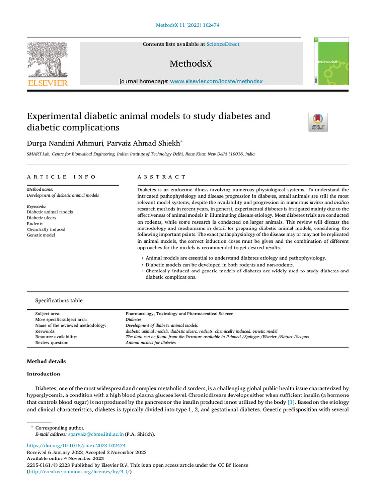 Diabetic Animal Models: Methodologies Explained | PDF | Diabetes | Leptin