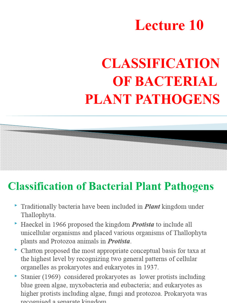 Classification of Bacterial Plant Pathogens | PDF | Bacteria | Prokaryote