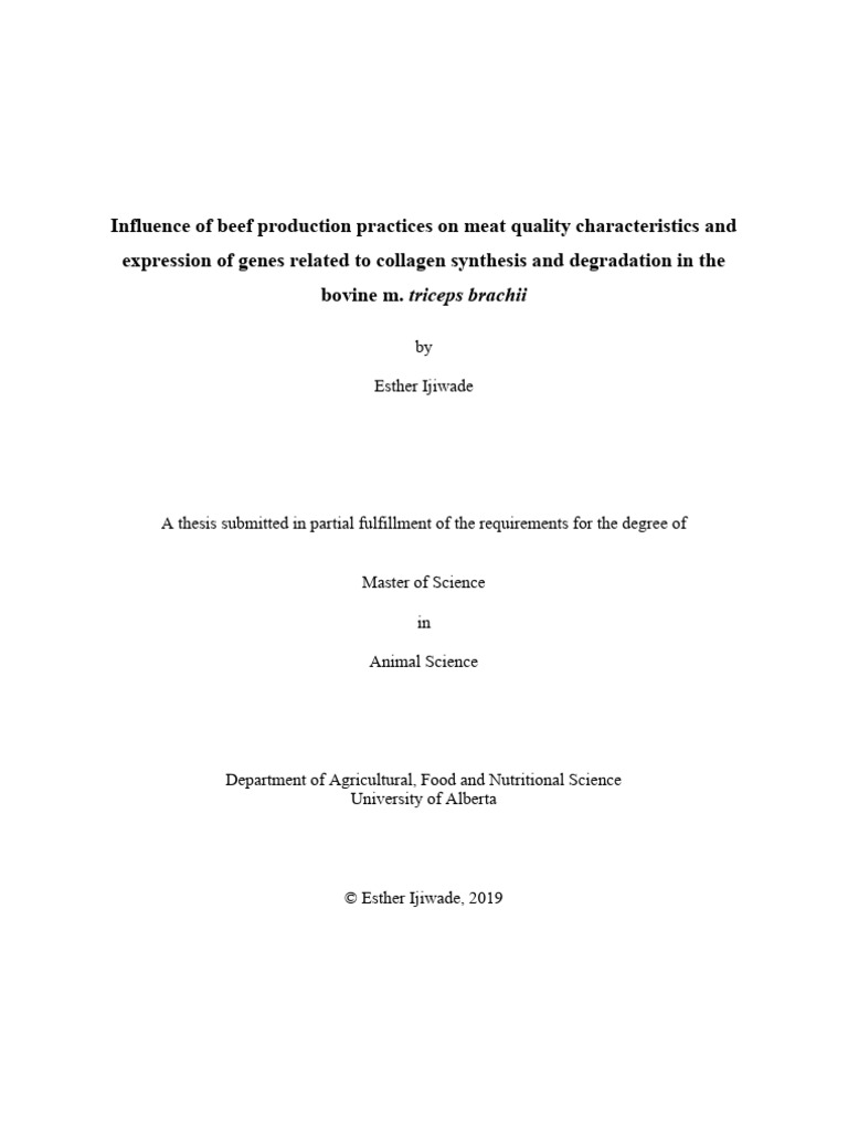 Ijiwade Esther O 201911 MSC | PDF | Meat | Beef