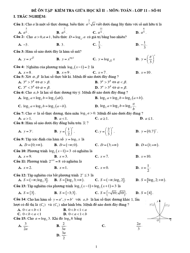 De On Gk2 Toan 11 01 CTST | PDF