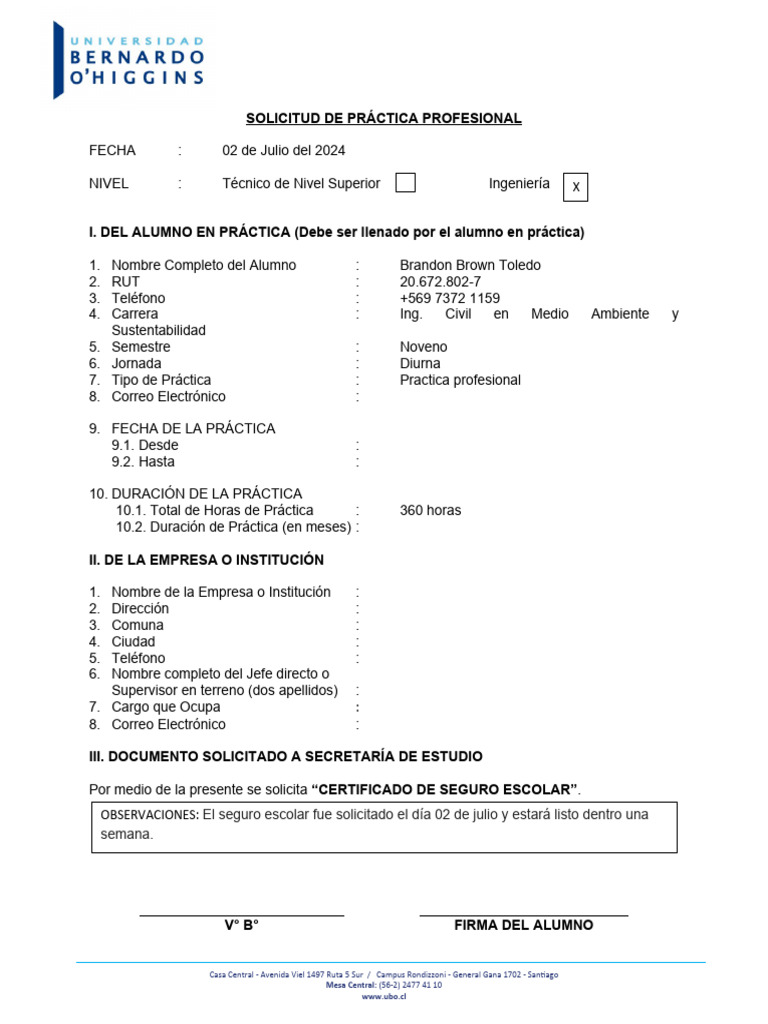 Solicitud de Práctica Profesional | PDF