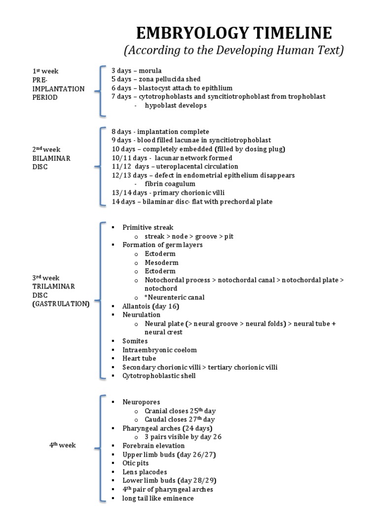 Embryology Timeline | Download Free PDF | Anatomy | Developmental Biology