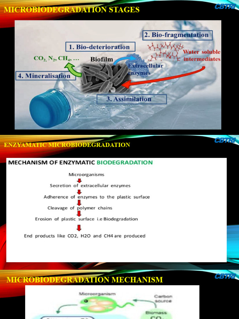 Microbiodegradation Stages | PDF | Biodegradation | Polymers