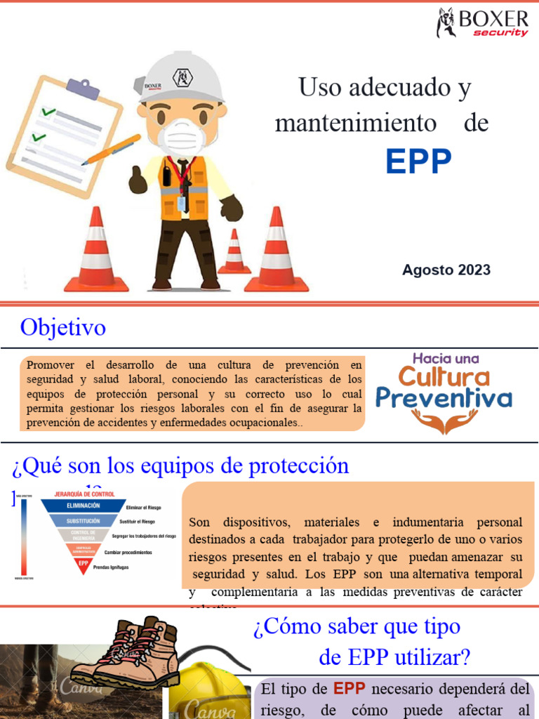 Uso Adecuado y Mantenimiento de EPP - 2023 | PDF | ruido | Contaminación