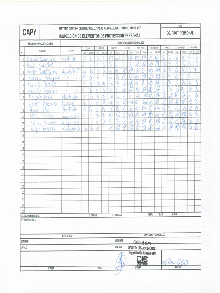 Lista de Chequeos de EPP (Varios) | PDF