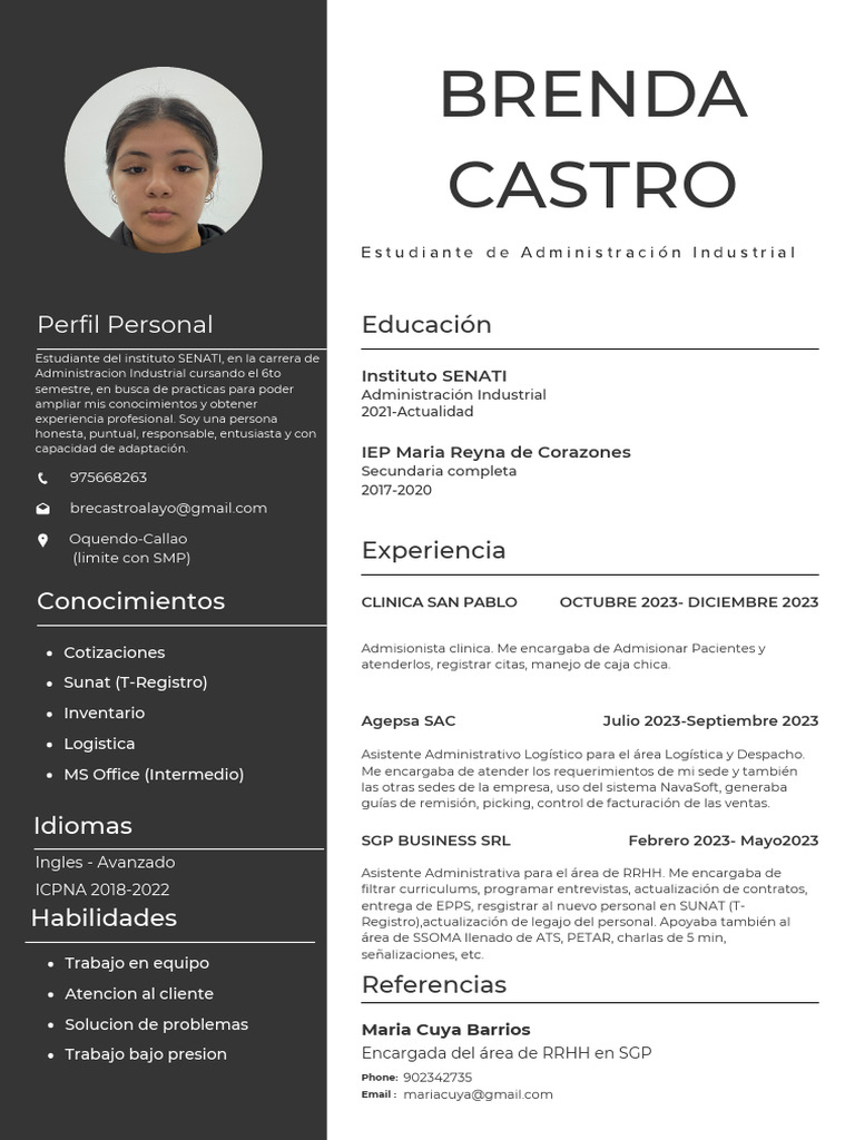 Brenda Castro CV | PDF | Business | Jerga corporativa
