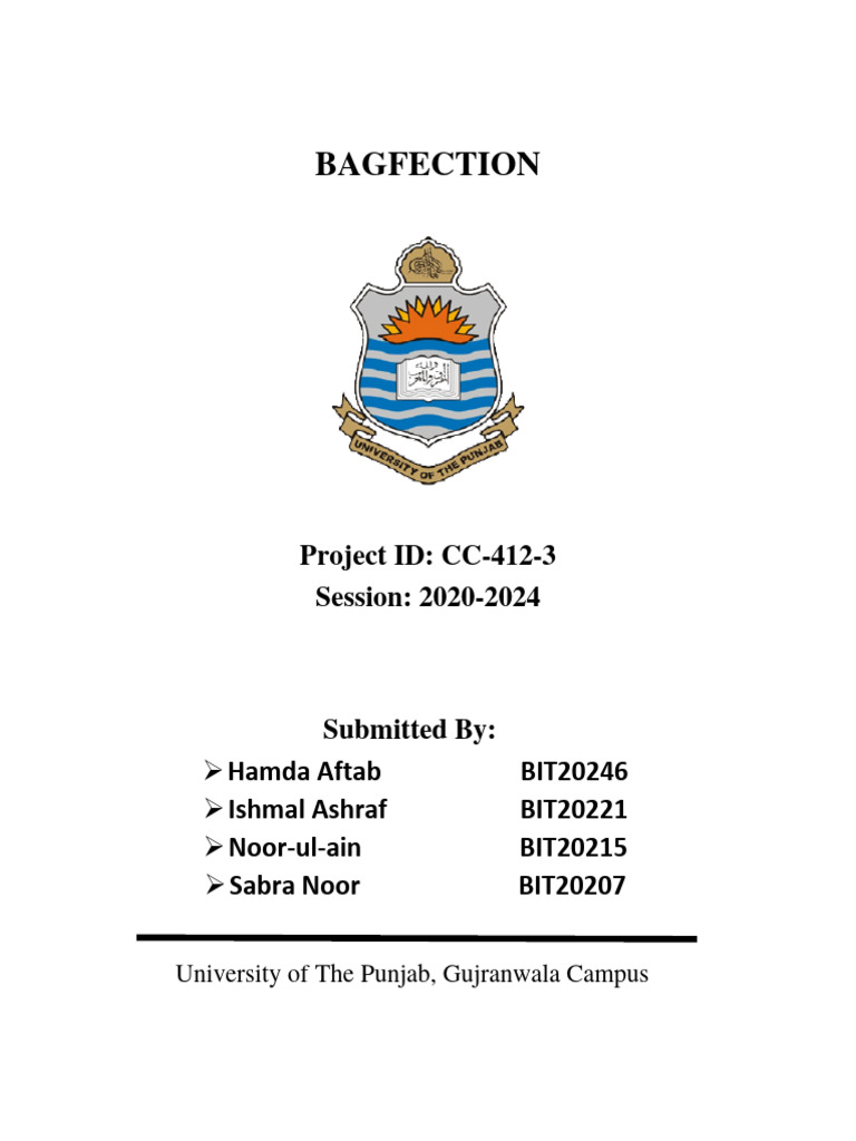Final Fyp | PDF | Feasibility Study | Microsoft Excel