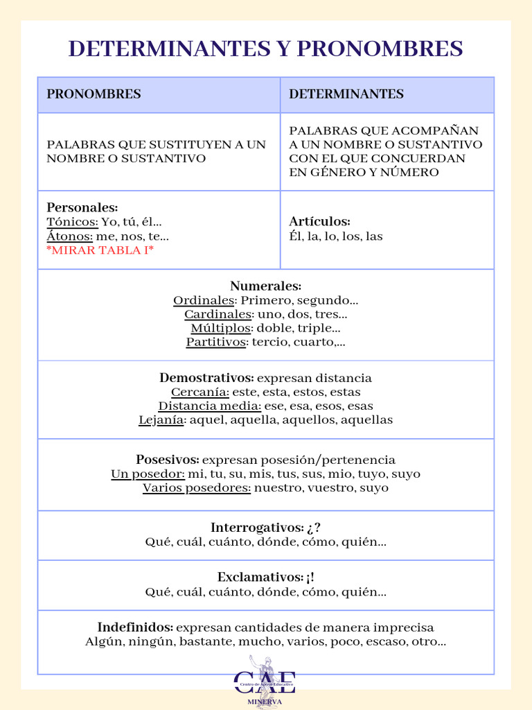 Determinantes y Pronombres | PDF | Artes del Lenguaje y Comunicación