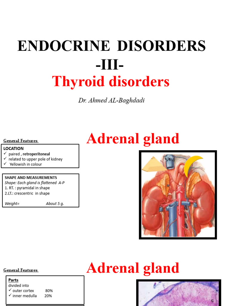 ENDOCRINE DISORDERS- Adrenal Gland Disorders | PDF | Adrenal Gland | Cortisol