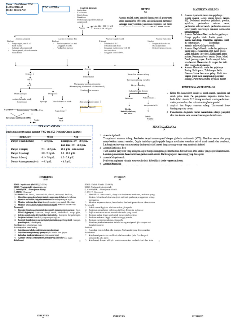 WOC 4 Anemia - Cici Silviani | PDF