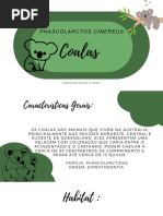 Habitat e características do coala | PDF | Coala | Zoologia