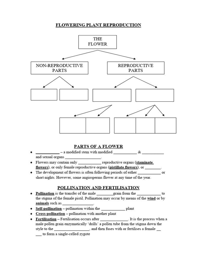 Flowering Plant Reproduction | PDF | Wellness | Science & Mathematics