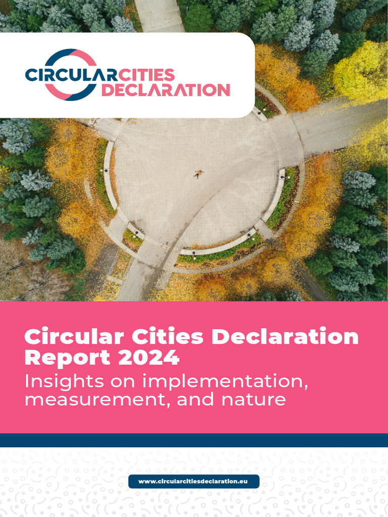 CCD Report 2024 | PDF | Policy | Economies