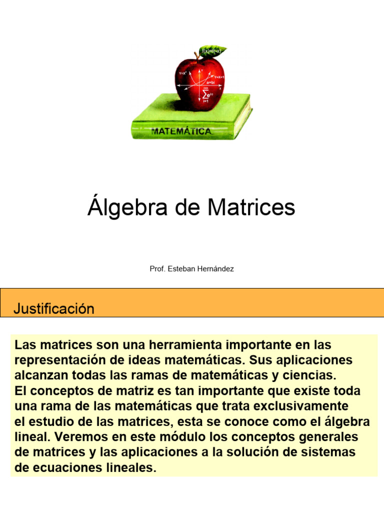 Algebra de Matrices | PDF | Matriz (Matemáticas) | Álgebra lineal