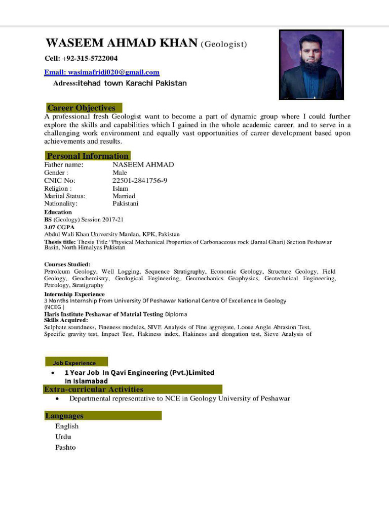 Waseem CV | PDF