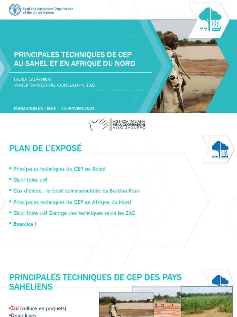 CB 6668 | PDF | Irrigation | Horticulture