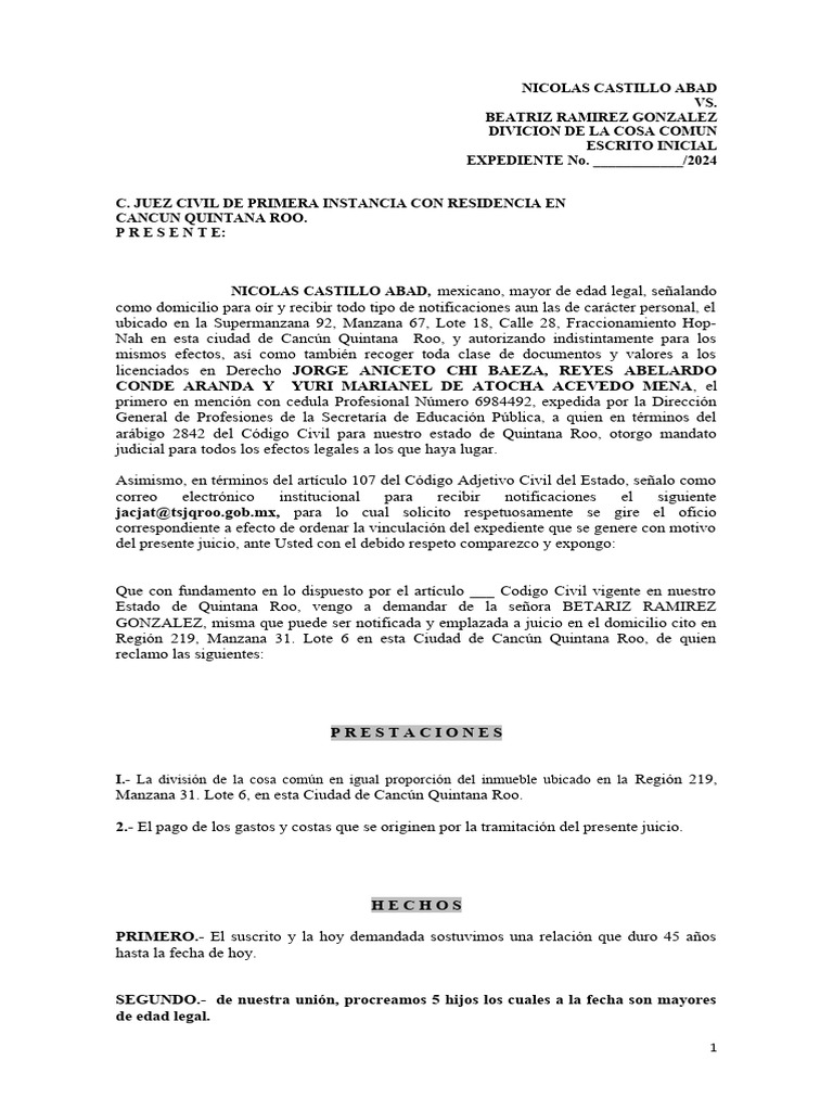 Nicolas Castillo Abad | PDF