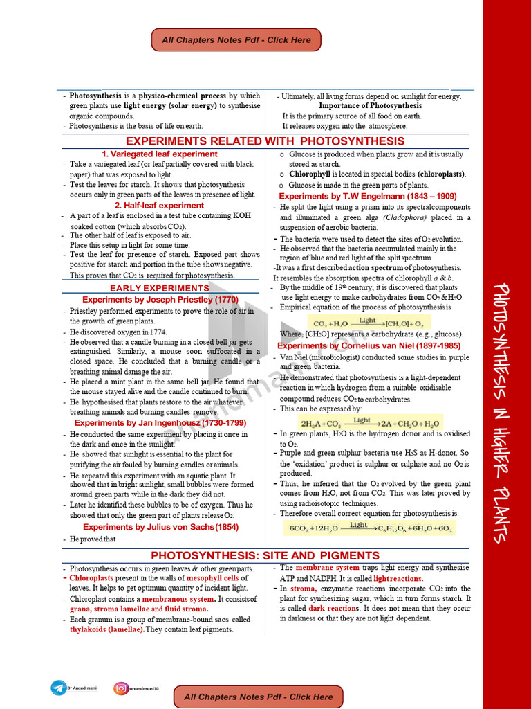 Photosynthesis Process & Experiments | PDF | Photosynthesis | Chlorophyll