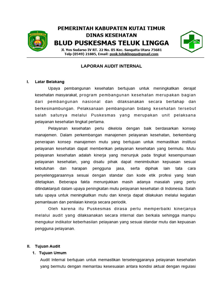 Laporan Audit Internal | PDF