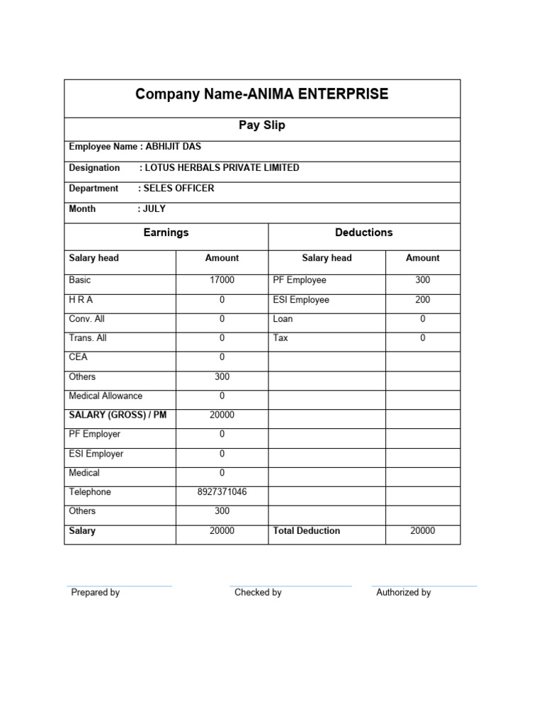 Company Name-ANIMA ENTERPRISE: Pay Slip | PDF