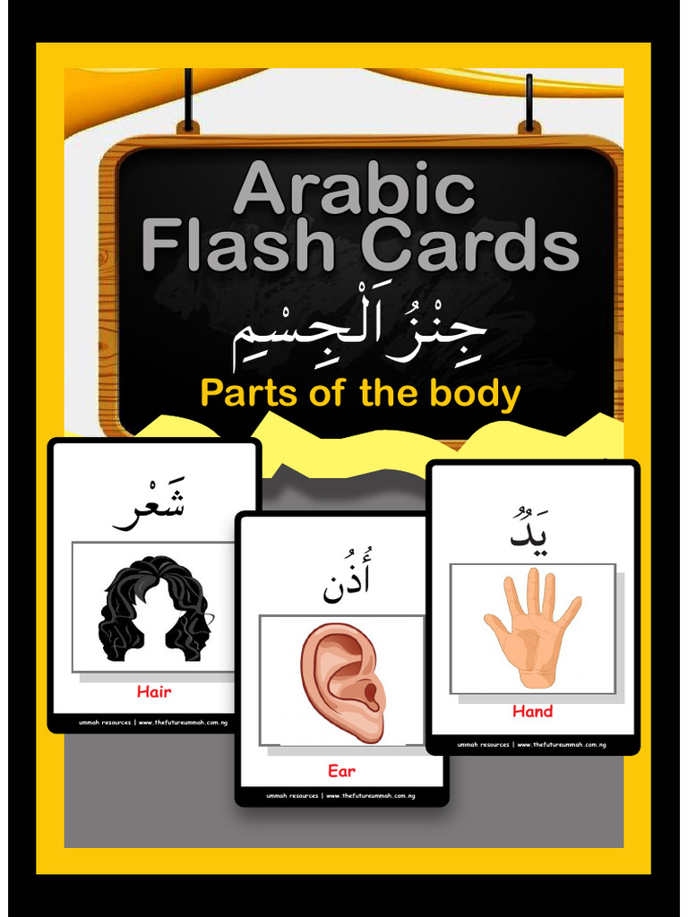 Arabic Body Parts Flashcards | PDF | Science & Mathematics