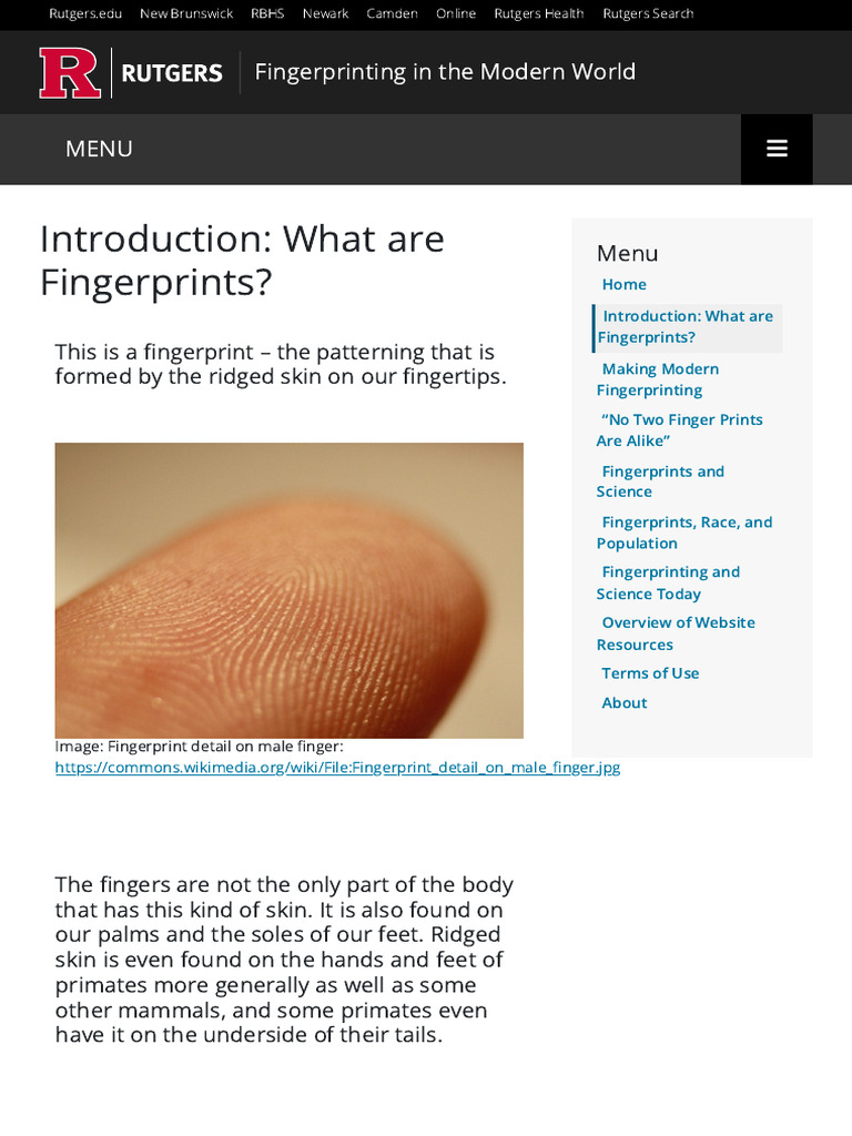 Introduction - What Are Fingerprints | PDF | Fingerprint | Security ...