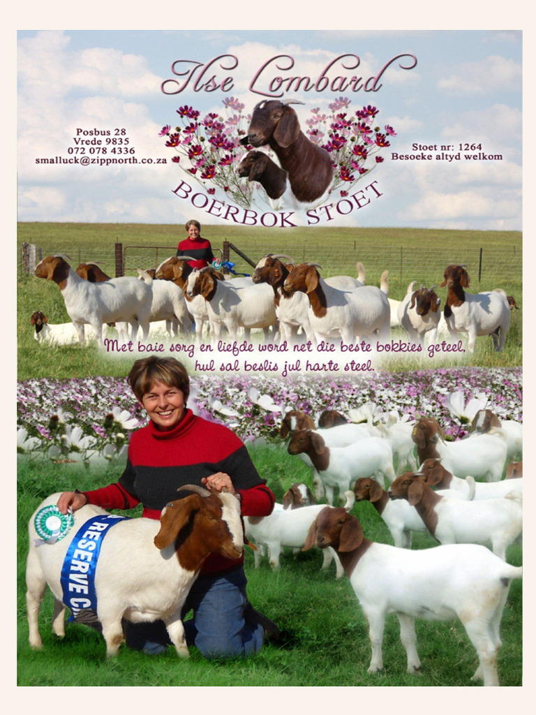 Boer Goat Management Book | PDF | Sheep | Goat