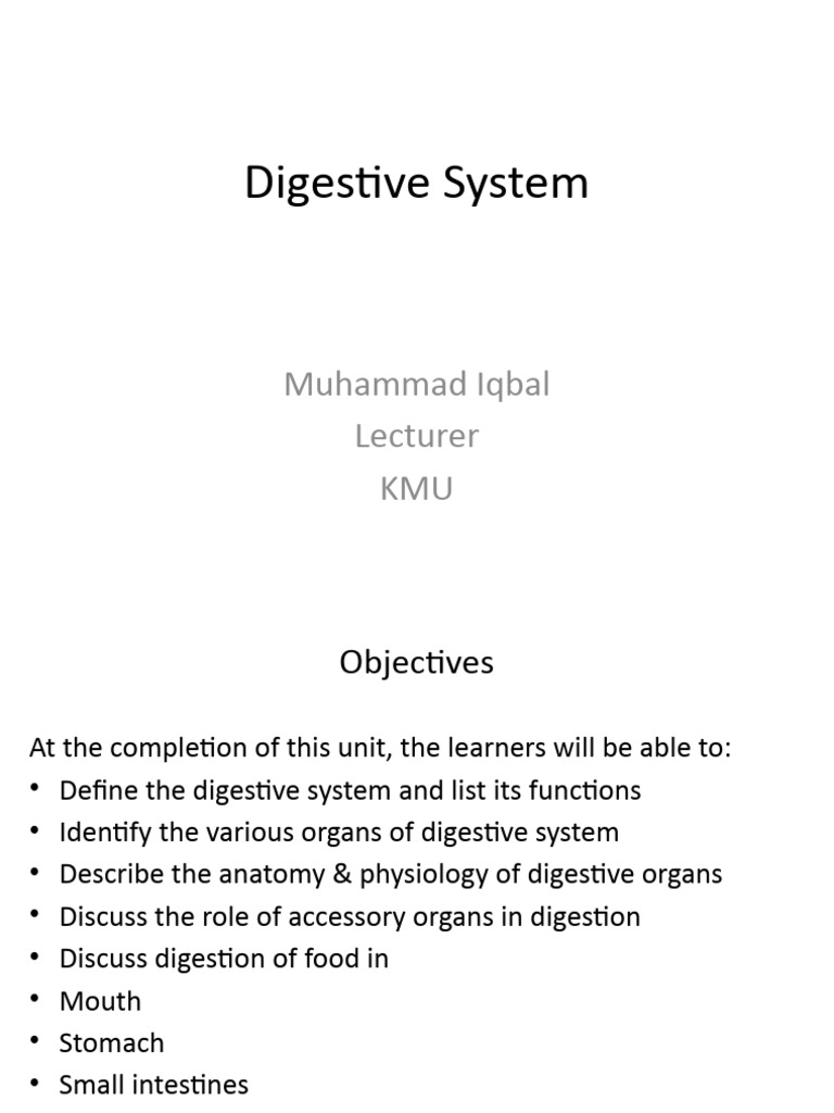 Digestive System (Unit X) | PDF | Stomach | Human Digestive System