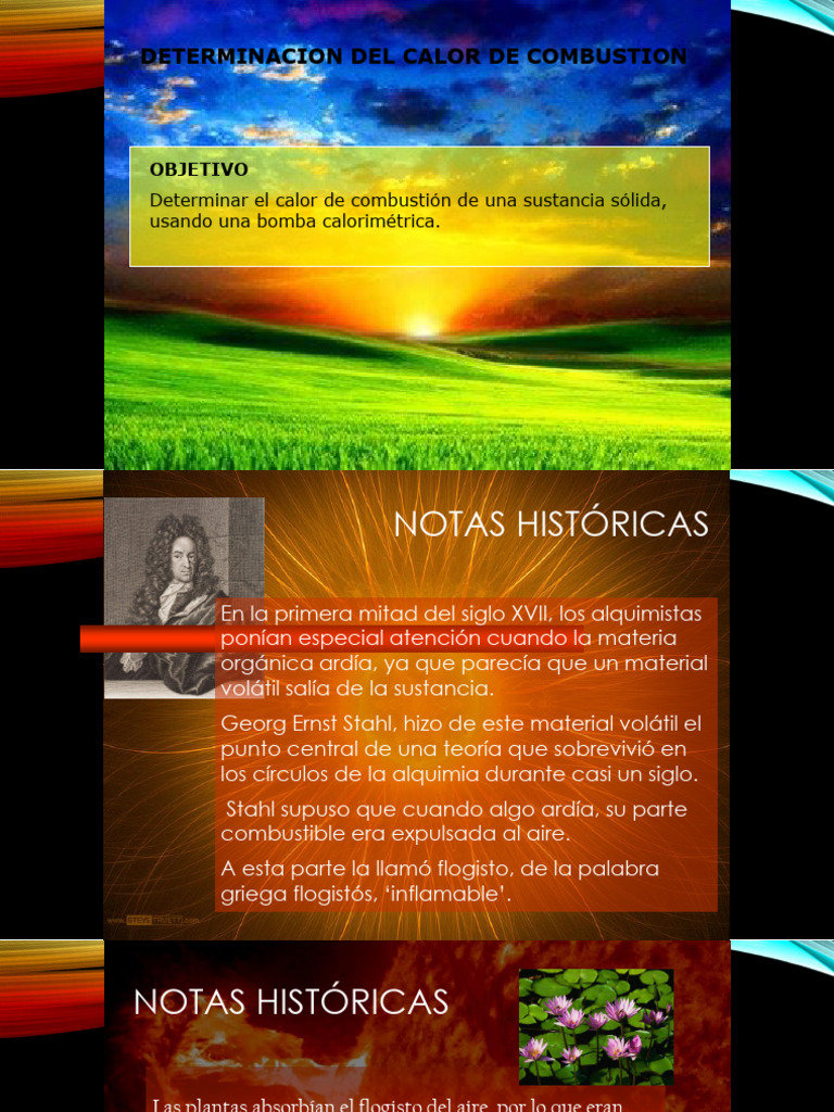 Present P9 | PDF | Combustión | Química