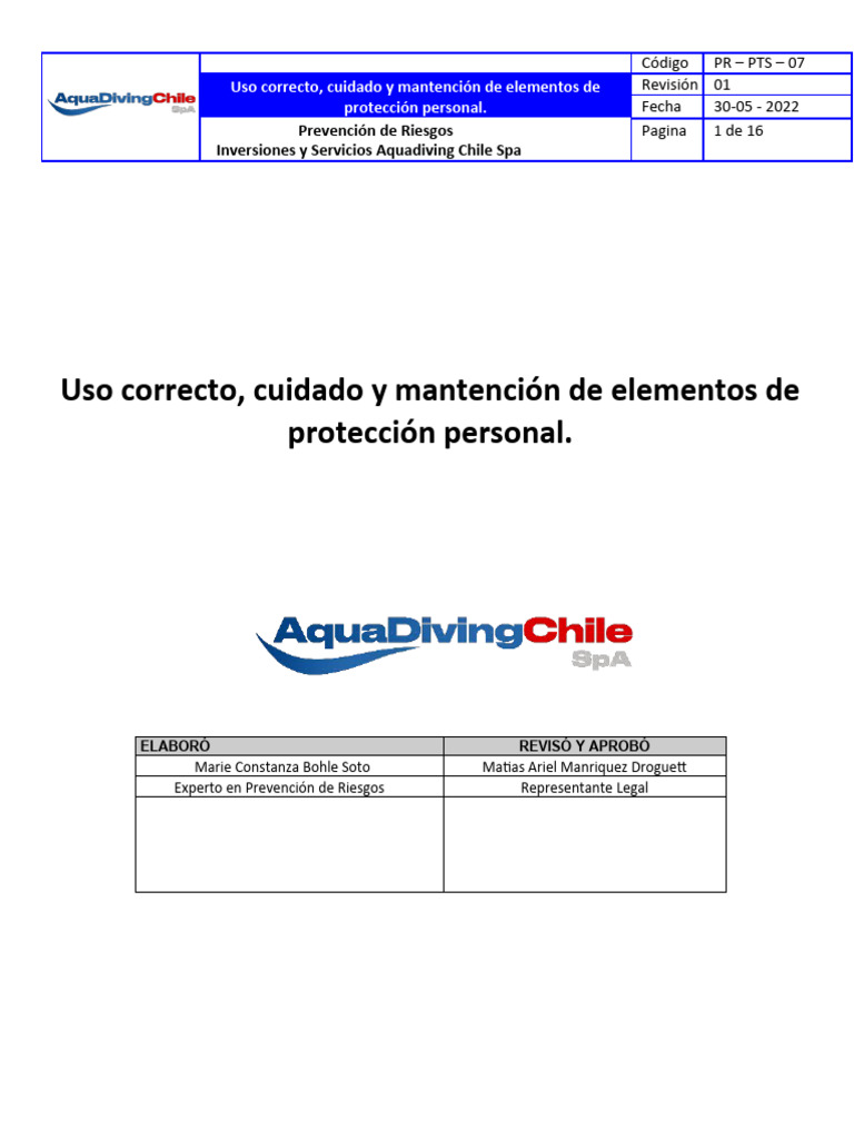 PTS Uso, Cuidado y Mantencion de EPP | PDF | ruido | Guante
