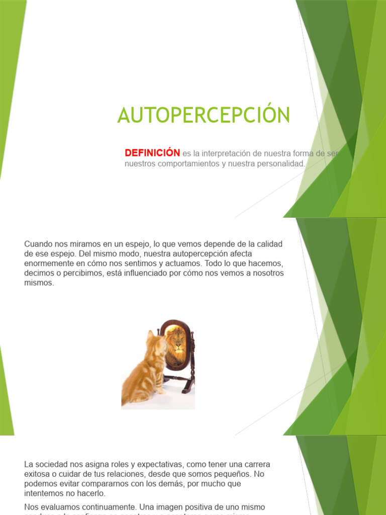 Autopercepción. Senati | PDF | Comportamiento | Aprendizaje