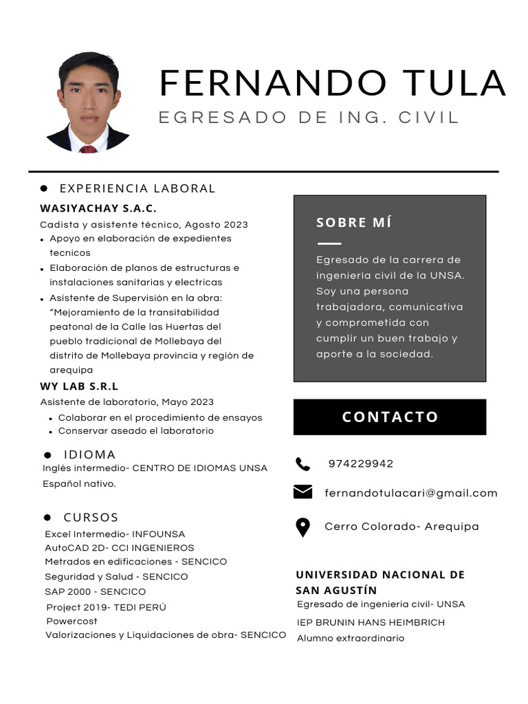Cv_fernando José Tula Cari | Descargar gratis PDF | Ingeniería | Bienes ...