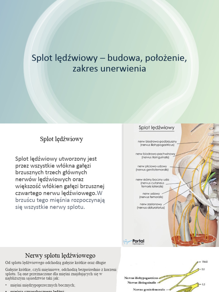Splot Lędźwiowy | PDF