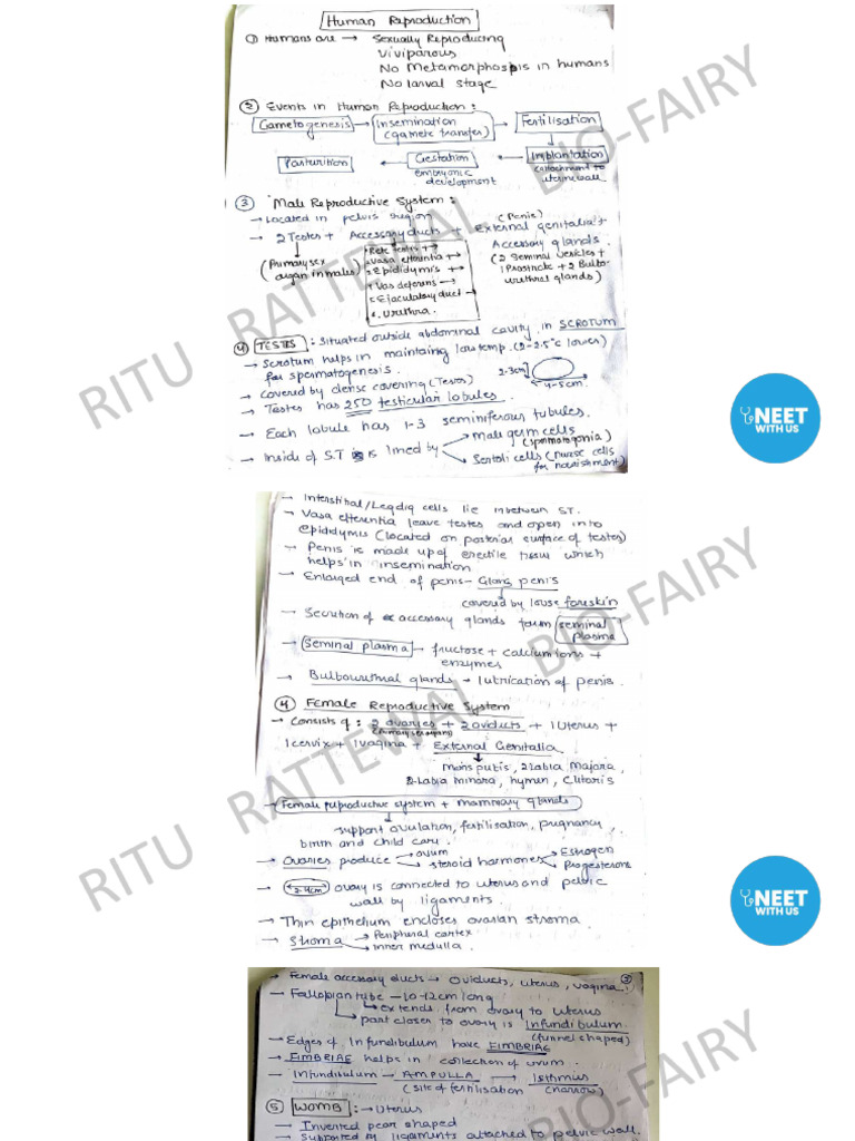 Human Reproduction Hand Written Notes Pdf 