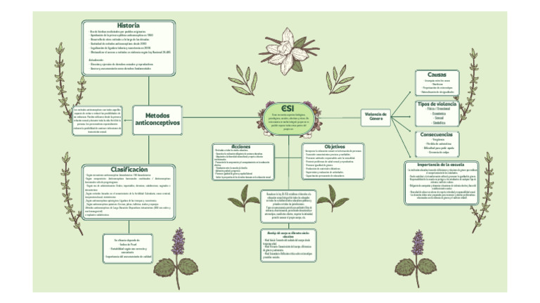 ESI Organizador Grafico Promocion de La Salud Sasha Regina 1ro Teatro | PDF | Control de la ...