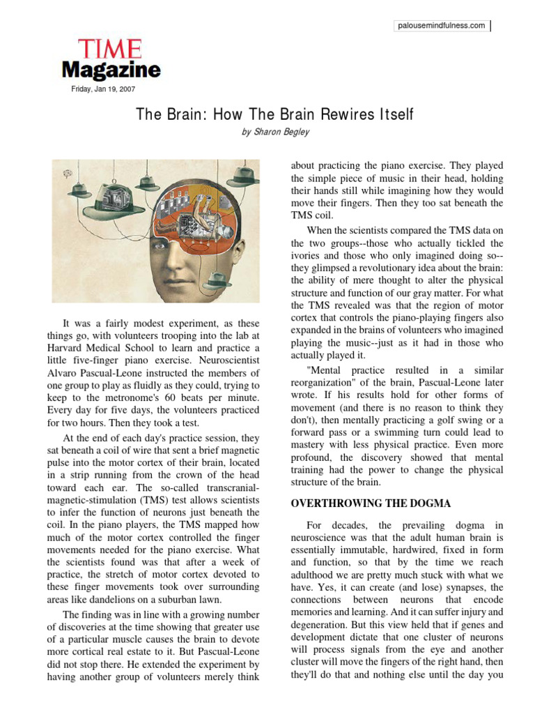 Neuroplasticity: How Thoughts Reshape the Brain | PDF | Obsessive ...