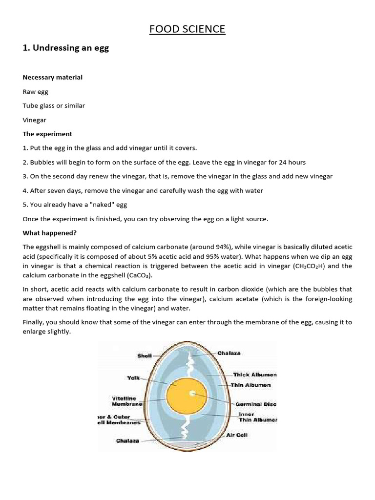 Food Science | PDF | Vinegar | Dna