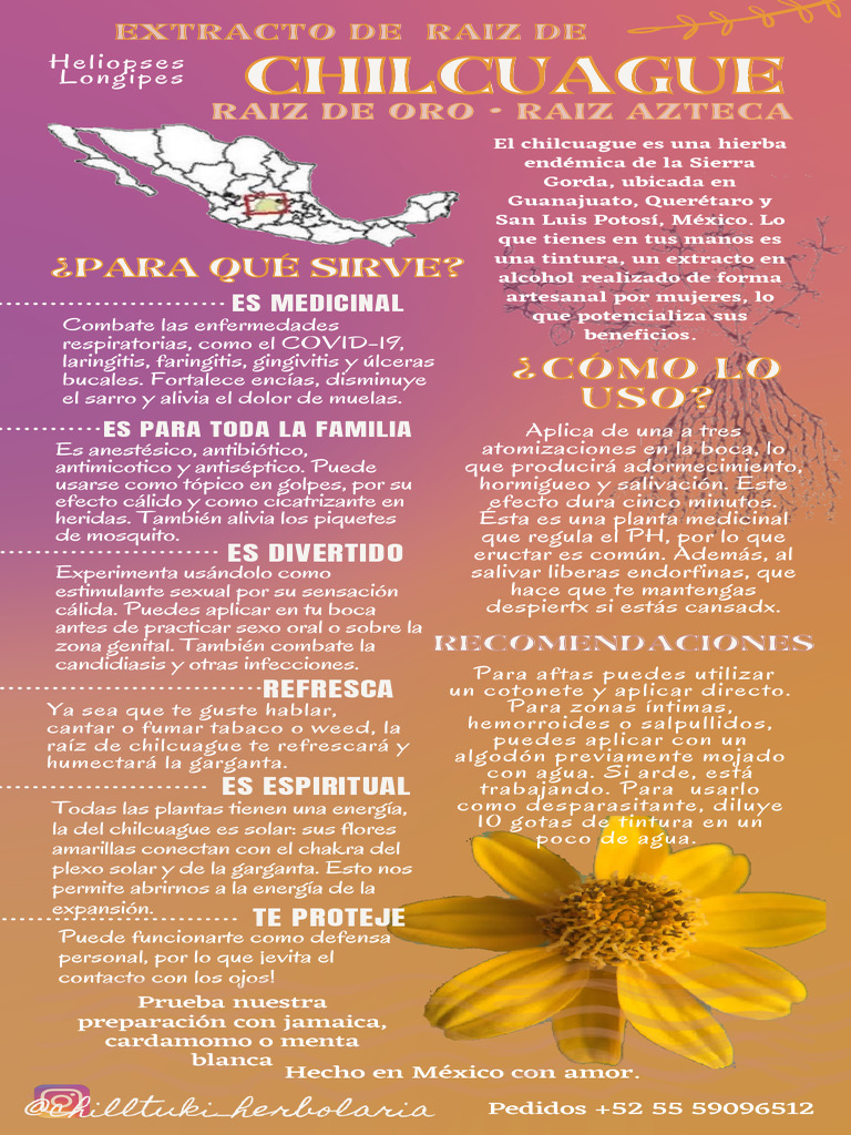 Infografia Chilcuague | PDF | Especialidades Medicas | Enfermedades y ...