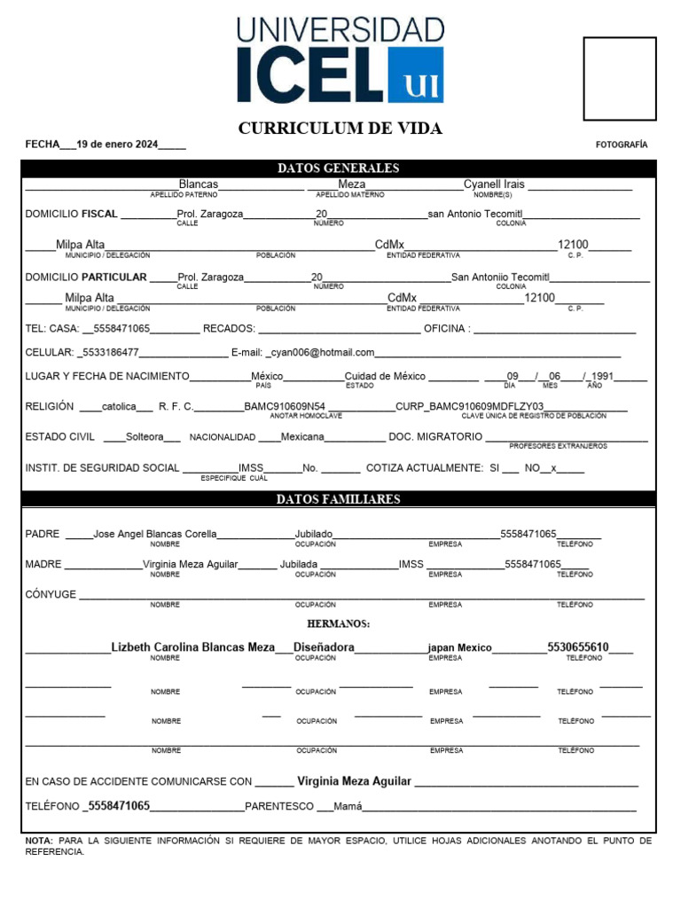 ICEL - CURRICULUM DE VIDA - Docentes | PDF