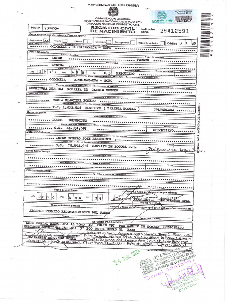 Registro Andrea | PDF