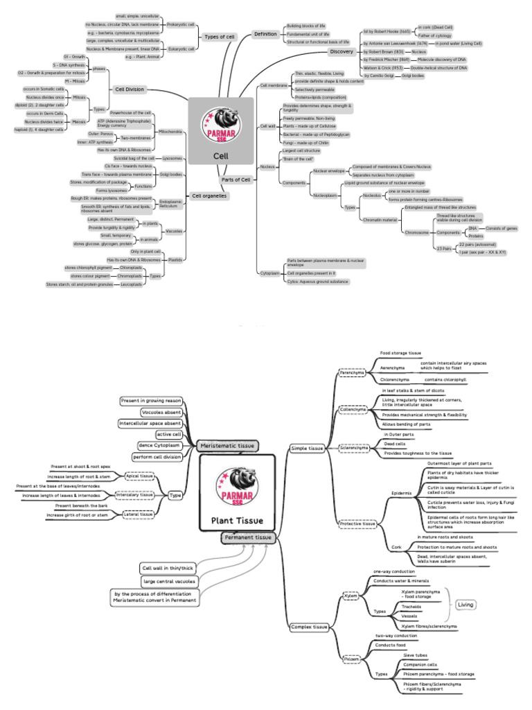 Cell Biology Mind Map Overview | PDF | Tissue (Biology) | Cell (Biology)